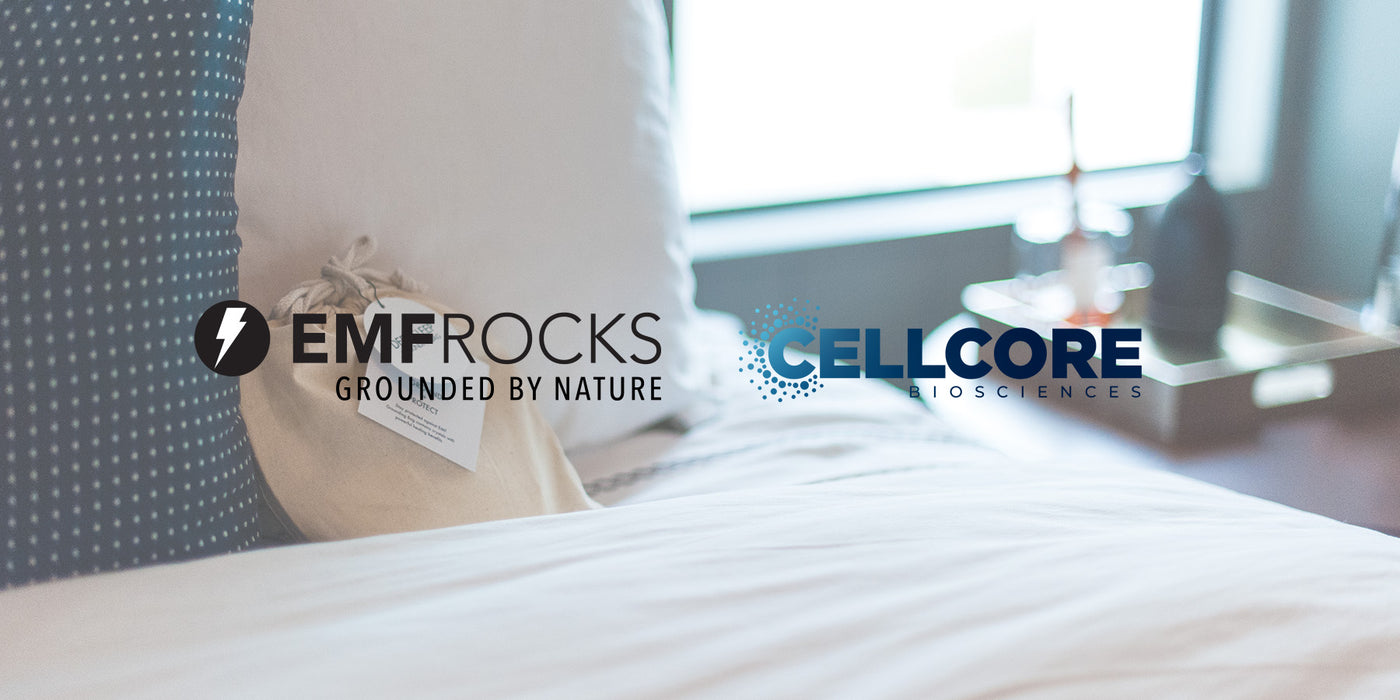 EMF Rocks | Harmonize the Vibration and Co-exist with EMF