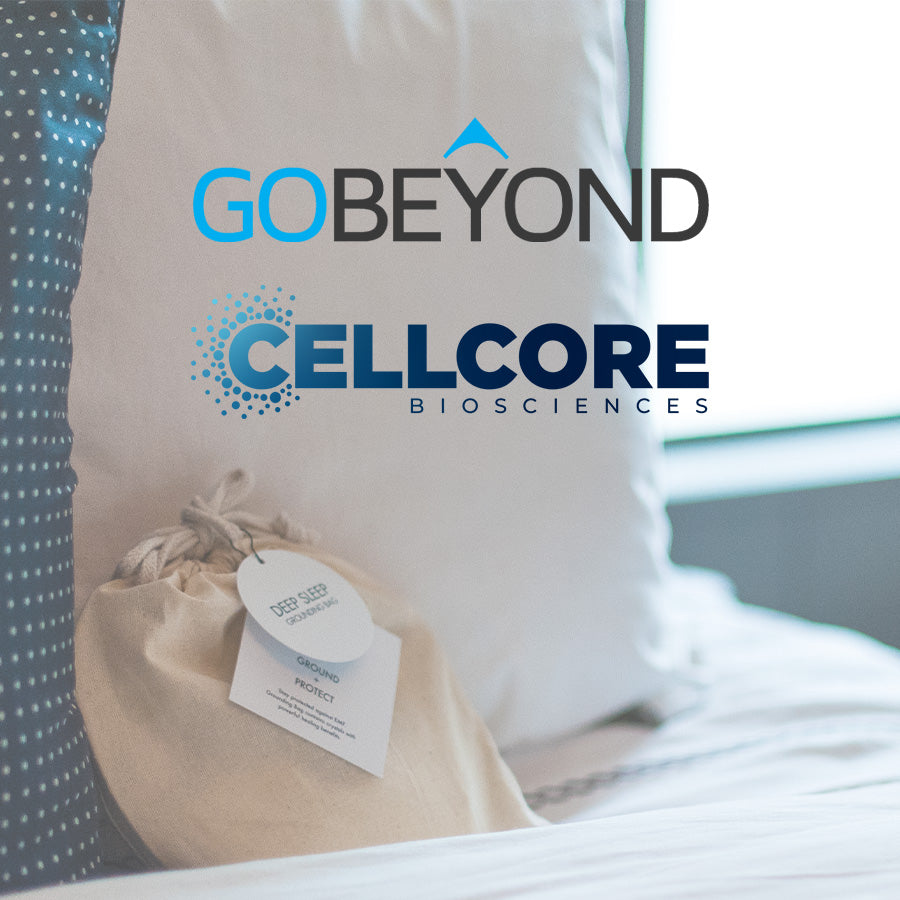 EMF Rocks | Harmonize the Vibration and Co-exist with EMF